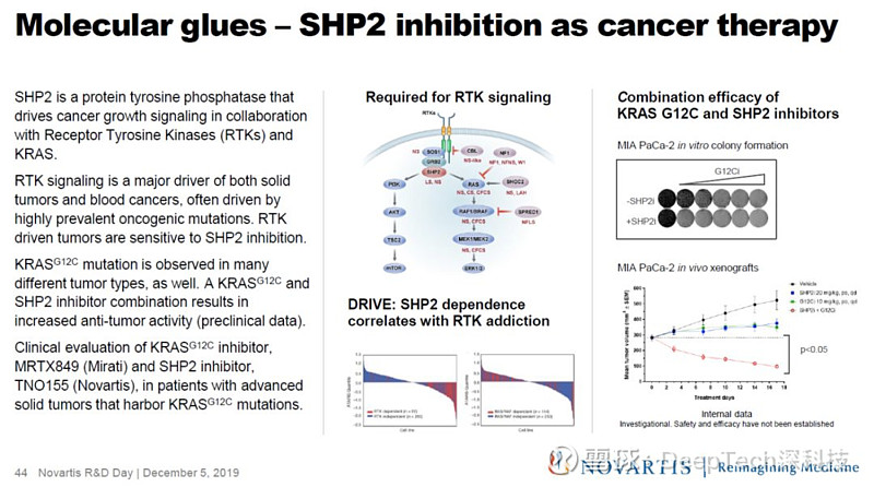 中国领跑，大厂布局，一文揭开肿瘤免疫新靶点SHP2的“庐山真面目” 继 TIGIT 之后，癌症免疫检查点小分子抑制剂研发热门靶点家族又添新成员 ...