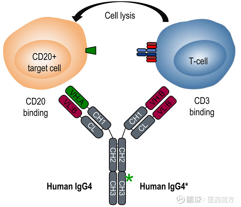 再鼎医药/再生元CD3/CD20双抗获准在中国开展临床试验 9月8日， 再鼎医药 / 再生元 提交的CD3/CD20双特异性抗体REGN1979注射液在中国获批临床，用于既往全身治... - 雪球