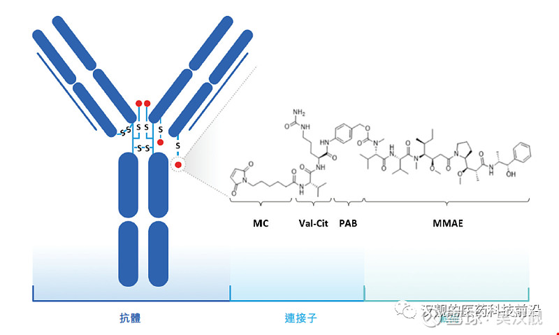 【83】荣昌生物招股书解读之二：从RC48谈Her2靶向抗体偶联药物（ADC） 在上期和大家讨论了荣昌招股书的核心产品：治疗红斑狼疮的融合蛋白 ...