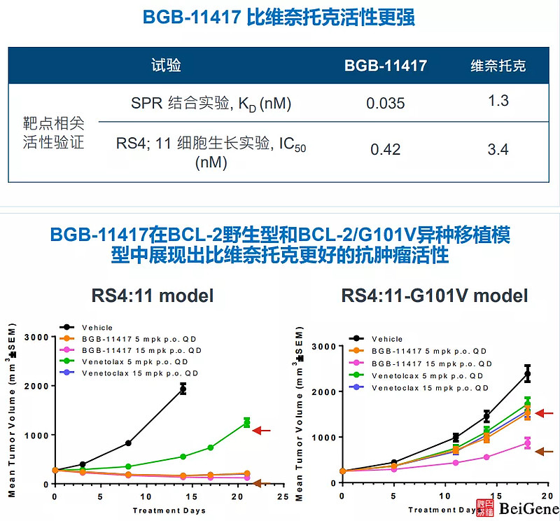 百济神州 Bcl-2 抑制剂 BGB-11417 临床申请获受理 9 月 26 日， 百济神州 「BGB-11417 薄膜包衣片」首次在国内 ...