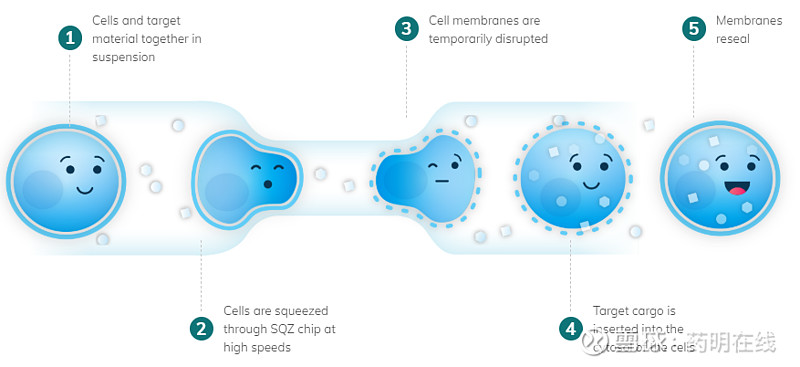 开创“挤压式”靶抗原递送技术，获多家资本青睐，又一家细胞治疗新锐递交IPO申请 药明康德 内容团队编辑 今日，总部位于美国马萨诸塞州的SQZ ...