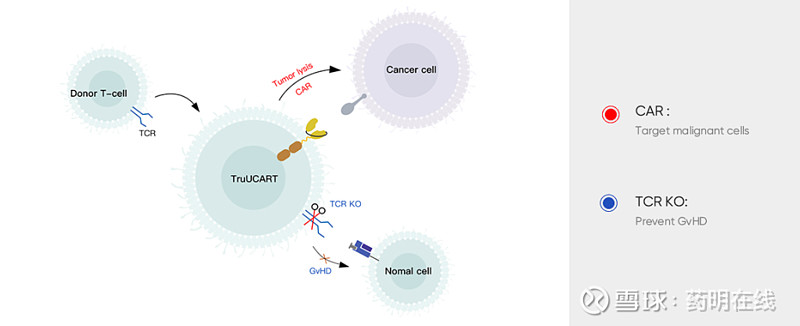 受资本青睐，C轮融资1亿美元，亘喜生物推进新一代CAR-T细胞疗法开发！ 药明康德 内容团队编辑 今日，Gracell ...