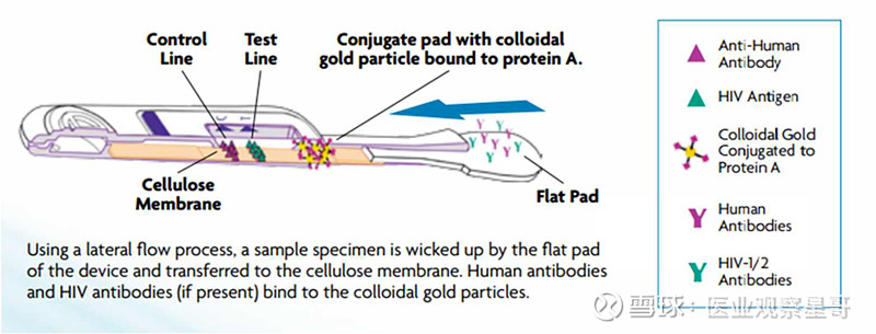 OraSure---如何认识这个全球唾液检测的领导者？ 医疗领域里不乏优质企业，其中有一些专注而细分，在某些方向独树一帜。借着还在隔离（失去 ...