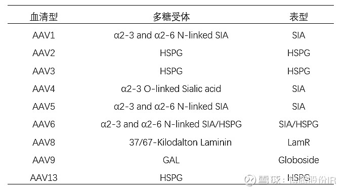 博腾生物重要科研成果|AAV研究发表于Molecular Therapy，助力基因治疗 近期，博腾生物Dr. Damien Marsic针对 ...