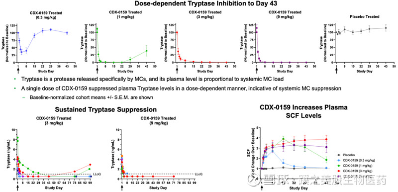 Celldex Therapeutics：炎症抑制靶点及CD40抗体取得不错的早期验证 作者：蹊之 微信公众号：蹊之美股生物医药 ...