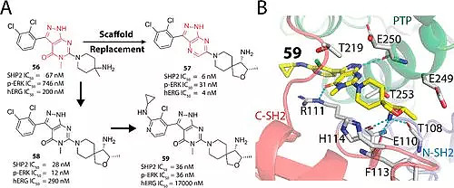 微芯生物未来一个重磅炸弹CS27100肿瘤、免疫性疾病SHP2选择性激动剂 微芯生物 未来一个重磅炸弹CS27100：国家 1 类原创新药 ...