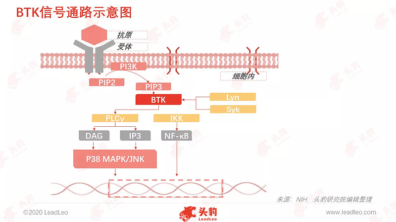 大药厂加注，BTK抑制剂行业走热 BTK抑制剂疗法接连获批，发展潜力逐步显现2020年6月3日，中国国家药监局宣布，通过优先审评审批程序附条件 ...