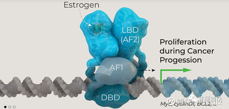 百亿市场的SERD药物，国内只有恒瑞和益方生物进入临床 $恒瑞医药(SH600276)$ $Zentalis(ZNTL)$ $Olema ...