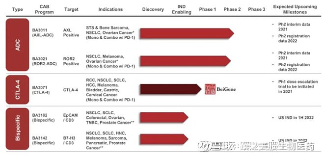 IPO公司详解 | BioAtla：新型ADC研发公司募资提高至2亿美元，于今晚上市 作者：青铜树微信公众号：蹊之美股生物医药 ...