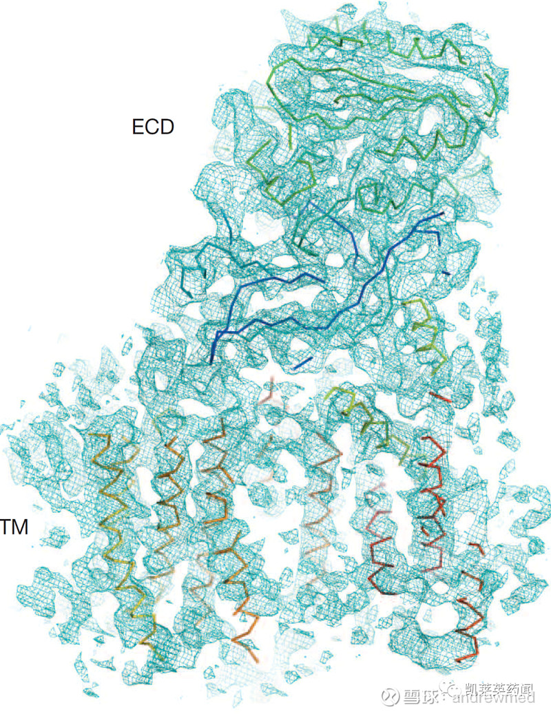 施一公关注的靶点γ-分泌酶药物，从阿尔兹海默症全军覆没到肿瘤适应症重获新生，其间差异几何？ 文章来源：“ 凯莱英 药闻”微信公众号2020年 ...