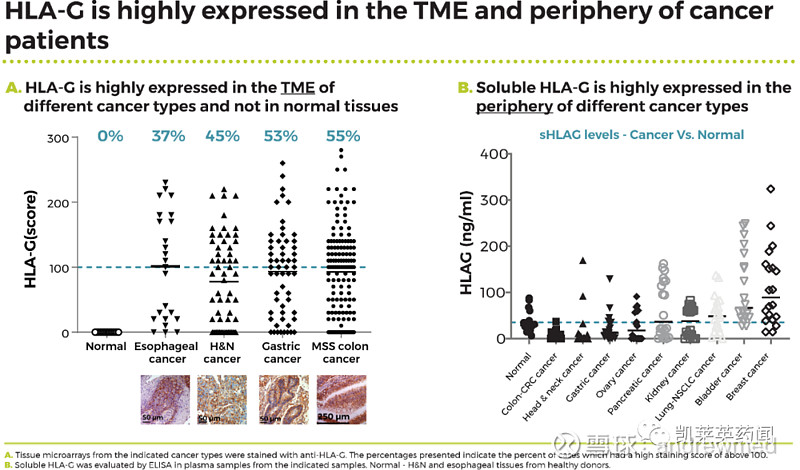 重磅|赛诺菲达成11亿美元协议，开发新型检查点抑制剂治疗实体肿瘤 文章来源：“ 凯莱英 药闻”微信公众号2021年1月13日，以色列创新生物药 ...