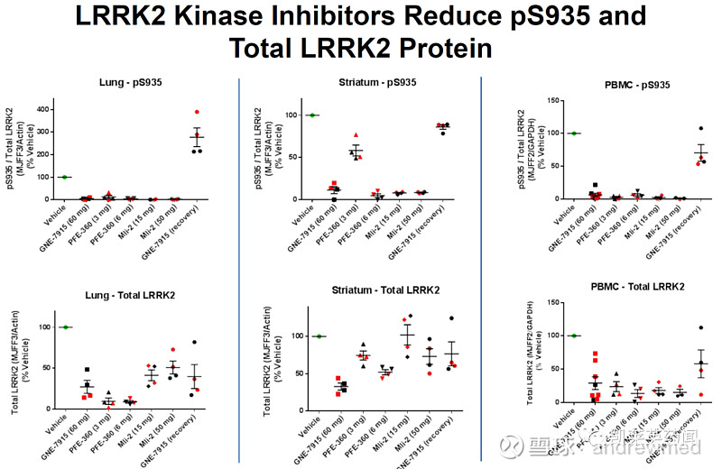 LRRK2抑制剂——帕金森病的明日之星 文章来源：“ 凯莱英 药闻”微信公众号帕金森病（Parkinson′s disease，PD）是第二 ...