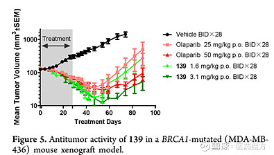 PARP抑制剂：氟唑帕利、帕米帕利、AZD5305对比-觅健