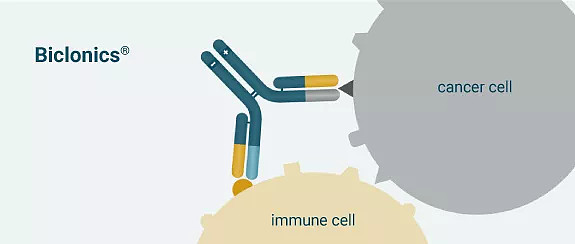 礼来16亿美元启动和Merus技术合作，结构设计将是双抗商业生产及临床应用关键 撰文丨领诺的杰克（领诺医药创始人）2021年1月19日， 礼来 ...