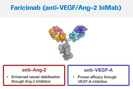 罗氏双特异性抗体faricimab治疗年龄相关性黄斑变性III期研究成功！ 1月25日罗氏公布了双特异性抗体faricimab治疗新生血管性 ...