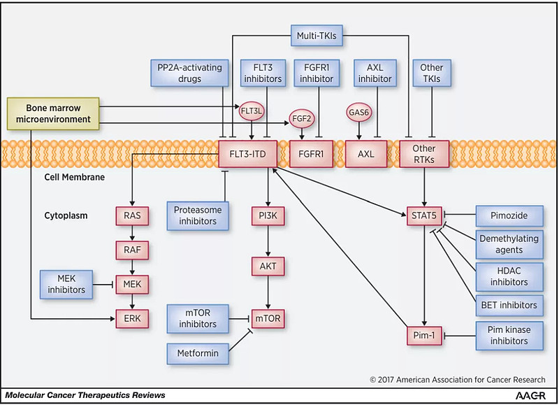 临床急需AML新药吉瑞替尼获批上市！靶向FLT3突变利剑出鞘 2月4日，安斯泰来宣布中国国家药品监督管理局（NMPA）已附条件批准适加坦®（富马酸吉瑞替尼片，Xospata®，）上市... - 雪球