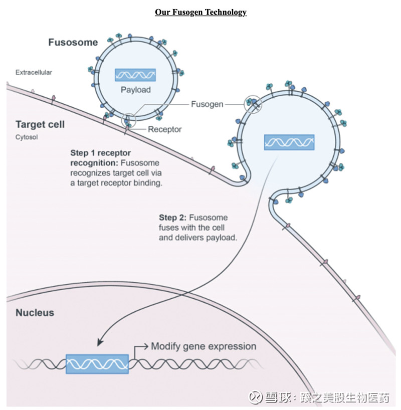 IPO详解 | Sana Biotech：今年最大最受瞩目的生物科技公司于今晚IPO上市 作者：青铜树 微信公众号：蹊之美股生物医药 ...