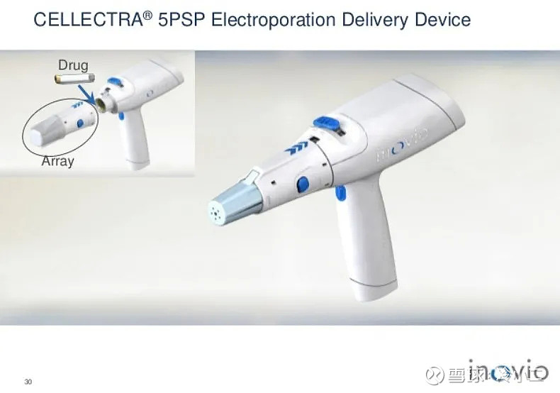 全球第一种开展人体试验的DNA疫苗[Inovio（“伊诺维奥”）的新冠疫苗INO-4800] 研发新型COVID-19 DNA疫苗Inovio ...