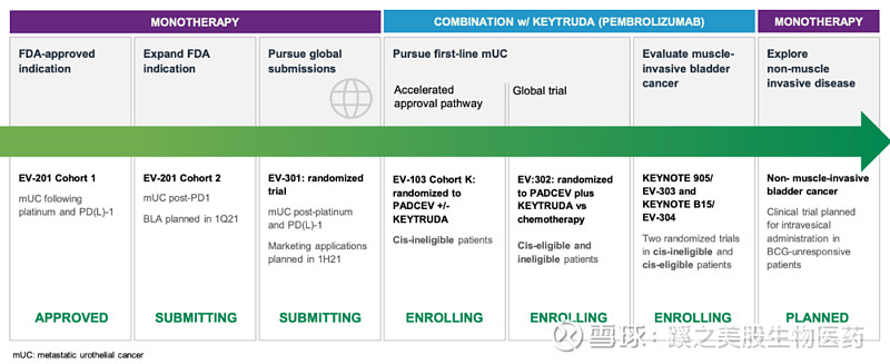 BioNews | 安斯泰来/Seagen提交ADC药物PADCEV两项膀胱癌的补充生物许可申请 作者：青铜树 微信公众号：蹊之美股生物医药 ...