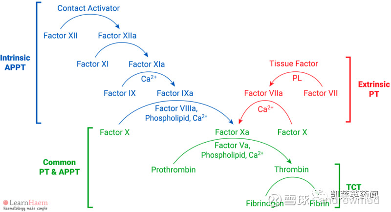 诺和诺德双抗Mim8获NMPA受理，较罗氏Hemlibra强效15倍，有望全球同步上市 文章来源：“ 凯莱英 药闻”微信公众号2月25日，国家 ...