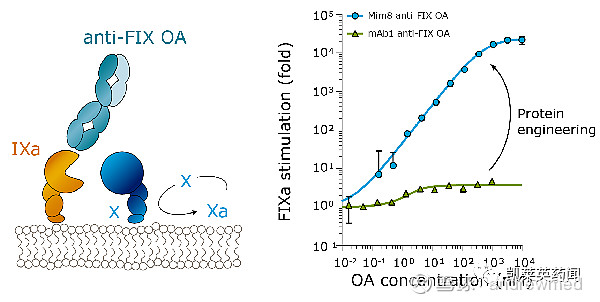 诺和诺德双抗Mim8获NMPA受理，较罗氏Hemlibra强效15倍，有望全球同步上市 文章来源：“ 凯莱英 药闻”微信公众号2月25日，国家 ...