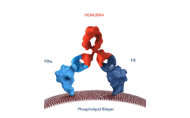 诺和诺德双抗Mim8获NMPA受理，较罗氏Hemlibra强效15倍，有望全球同步上市 文章来源：“凯莱英药闻”微信公众号 2月25日，国家 ...