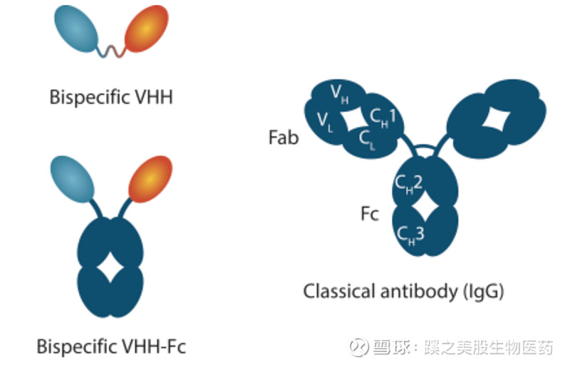 IPO早知道 | LAVA Therapeutics:新型T细胞双抗公司申请1亿美元IPO上市 作者：青铜树 微信公众号：蹊之美股生物医药 ...