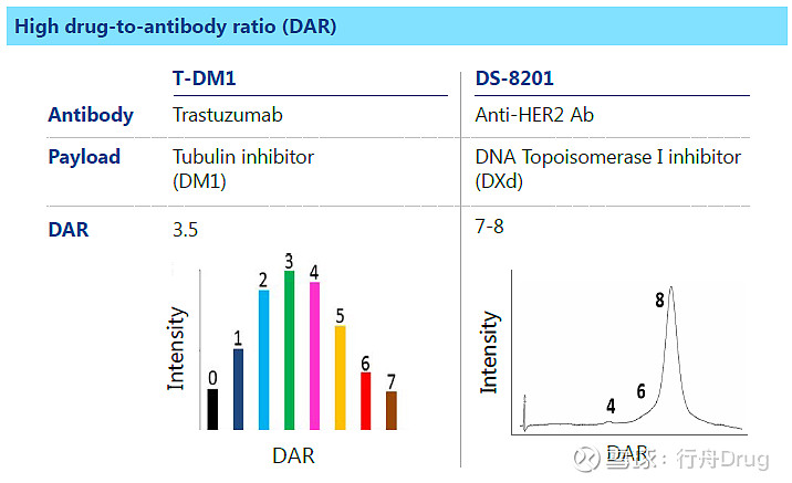 中国ADC技术全梳理 Armstrong 截至2021年3月，国内药企已经累计申报30款ADC新药和1款免疫毒素。随着 百奥泰 相继终止HE ...