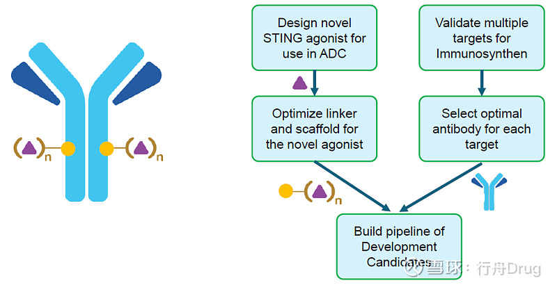 中国ADC技术全梳理 Armstrong 截至2021年3月，国内药企已经累计申报30款ADC新药和1款免疫毒素。随着 百奥泰 相继终止HE ...