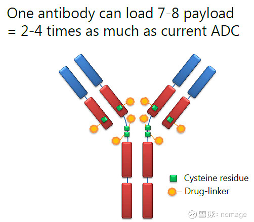 中国ADC技术全梳理（转，当前资料截至2021年3月） $荣昌生物-B(09995)$ $百济神州(06160)$ $康宁杰瑞制药-B ...