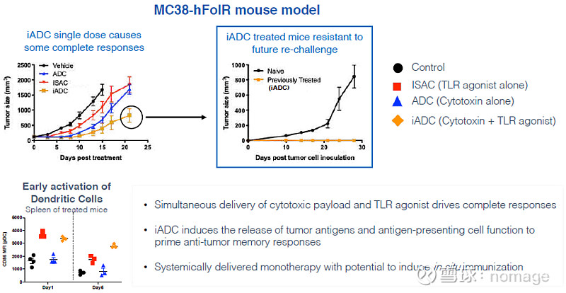 中国ADC技术全梳理（转，当前资料截至2021年3月） $荣昌生物-B(09995)$ $百济神州(06160)$ $康宁杰瑞制药-B ...