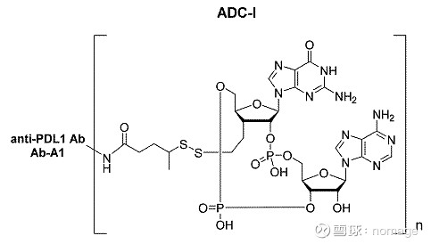 中国ADC技术全梳理（转，当前资料截至2021年3月） $荣昌生物-B(09995)$ $百济神州(06160)$ $康宁杰瑞制药-B ...