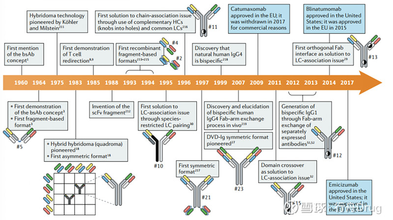 双特异性抗体那些事儿 导读图片来源：cytivalifesciences 双特异性抗体（Bispecific antibody，BsAb ...