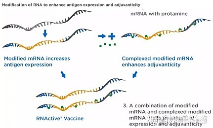 （转载）mRNA药物——肿瘤治疗领域的后起之秀 杭州普略生物让医学科研更轻松！基于 mRNA 的治疗，简单来讲就是利用化学修饰后的mRNA分子 ...