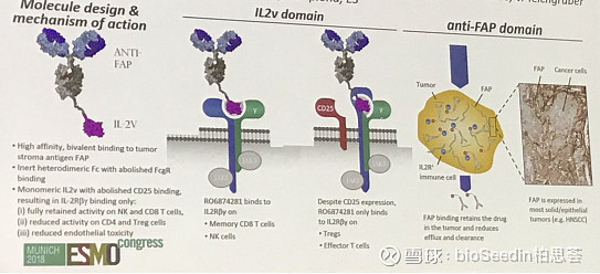 白细胞介素-2的工程化改造设计之路 白细胞介素2 (Interleukin 2，IL-2)是细胞因子中白细胞介素的一种，在免疫系统中起重要作用 ...