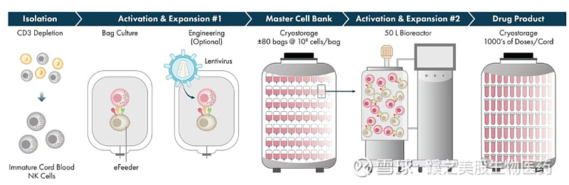 IPO早知道 | Artiva Bio：同种异体NK细胞疗法公司申请1亿美元IPO上市 作者：Wenjing 微信公众号：蹊之美股生物医药 ...