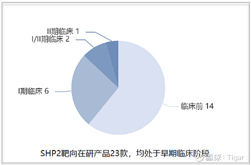 Revolution---一家专注于变构抑制剂的新药公司（3） $Revolution Medicines(RVMD)$ 三、SOS1抑制剂 ...