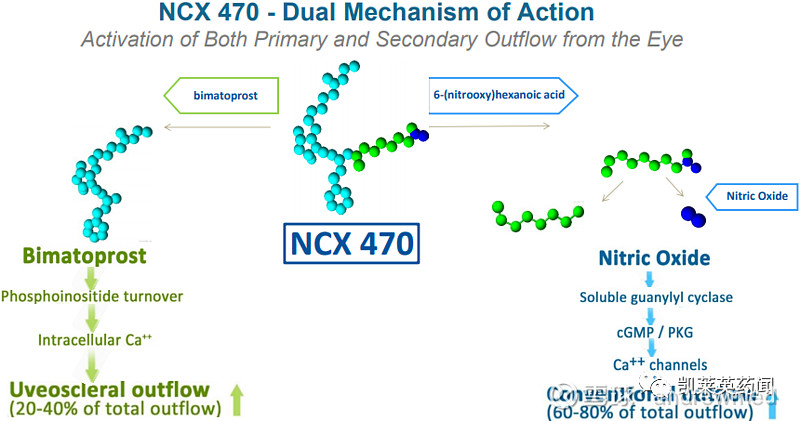 First-in-class：VYZULTA专利期将延长5年 文章来源：“ 凯莱英 药闻”微信公众号4月22日，创新药公司Nicox宣布，美国 ...
