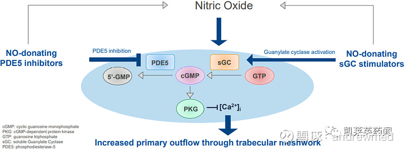 First-in-class：VYZULTA专利期将延长5年 文章来源：“ 凯莱英 药闻”微信公众号4月22日，创新药公司Nicox宣布，美国 ...