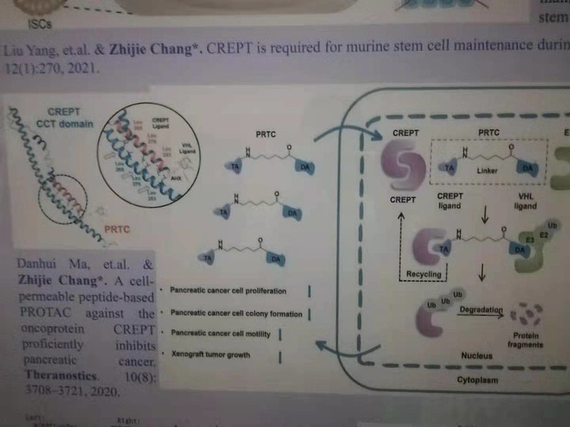 CREPT基因 24号和施一公老师的博后谢仰熹一起参观了常智杰老师的实验室，王银银老师和李江华博后耐心的讲解了CREPT的一些最新进展情 ...