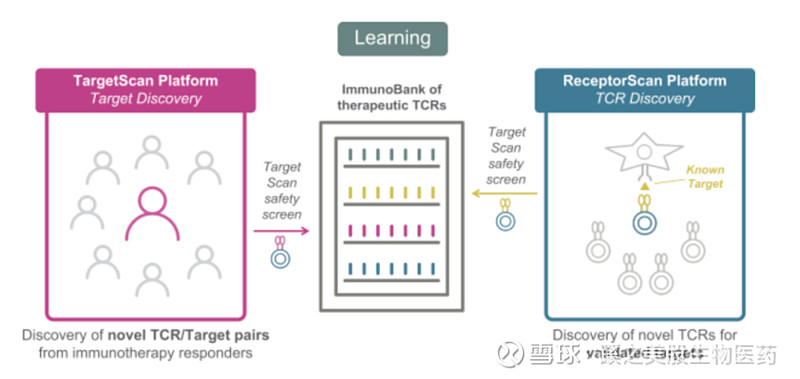 IPO早知道 | TScan Therapeutics：转座酶基因转导的TCR-T细胞疗法... 作者：Wenjing 微信公众号：蹊之美股 ...