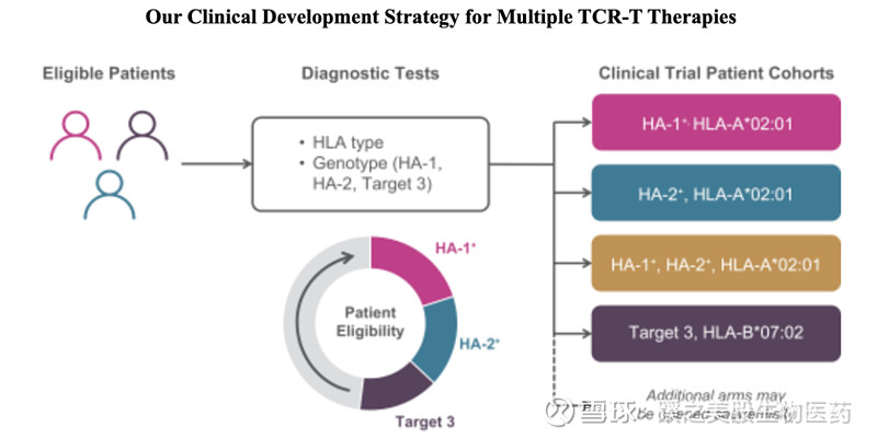 IPO早知道 | TScan Therapeutics：转座酶基因转导的TCR-T细胞疗法... 作者：Wenjing 微信公众号：蹊之美股 ...