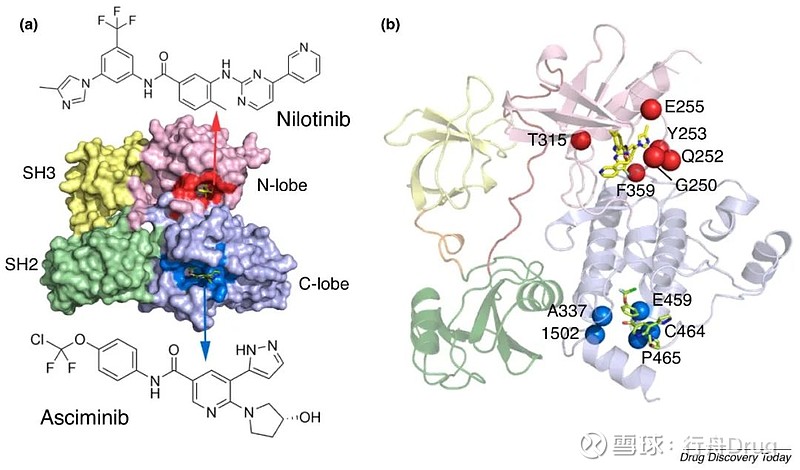 小分子药物的突围之路（上篇）：变构调节剂 点击上方的 行舟Drug 添加关注 Two roads diverged in a wood ...