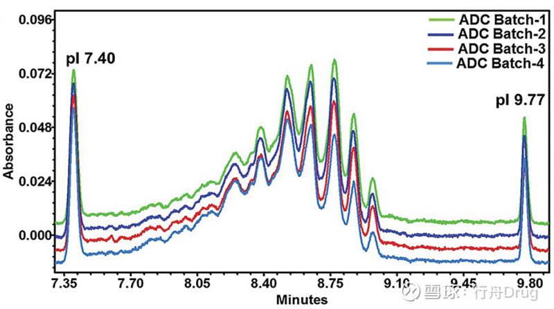 ADC药物关键质量属性的考量因素 抗体偶联药物（Antibody-drug conjugates ，ADCs）是将细胞毒性小分子药物通过 ...