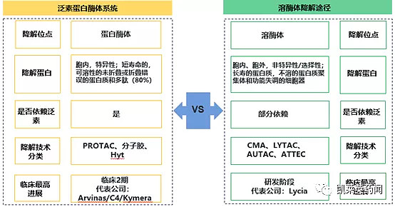 PROTAC之后：期待溶酶体降解技术的突破 文章来源：“ 凯莱英 药闻”微信公众号靶向蛋白降解 (Targeted ...