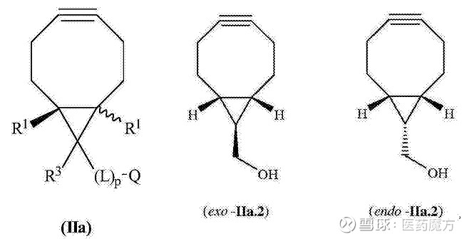 Synaffix公司ADC专利技术解析 Synaffix BV是荷兰一家生物技术公司，专注于开发抗体偶联药物(ADC)技术以成为同类最佳 ...