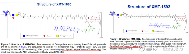 Synaffix公司ADC专利技术解析 Synaffix BV是荷兰一家生物技术公司，专注于开发抗体偶联药物(ADC)技术以成为同类最佳 ...