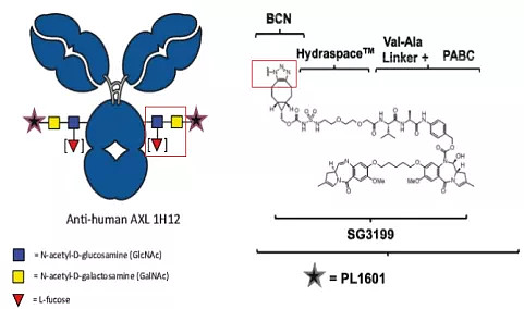 Synaffix公司ADC专利技术解析 Synaffix BV是荷兰一家生物技术公司，专注于开发抗体偶联药物(ADC)技术以成为同类最佳 ...