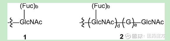 Synaffix公司ADC专利技术解析 Synaffix BV是荷兰一家生物技术公司，专注于开发抗体偶联药物(ADC)技术以成为同类最佳 ...