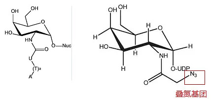 Synaffix公司ADC专利技术解析 Synaffix BV是荷兰一家生物技术公司，专注于开发抗体偶联药物(ADC)技术以成为同类最佳 ...
